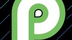 Only four notification icons can be seen on the status bar of Android P ...