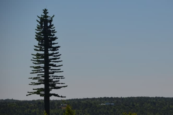 In Canada, wireless providers construct cell towers that look like ...