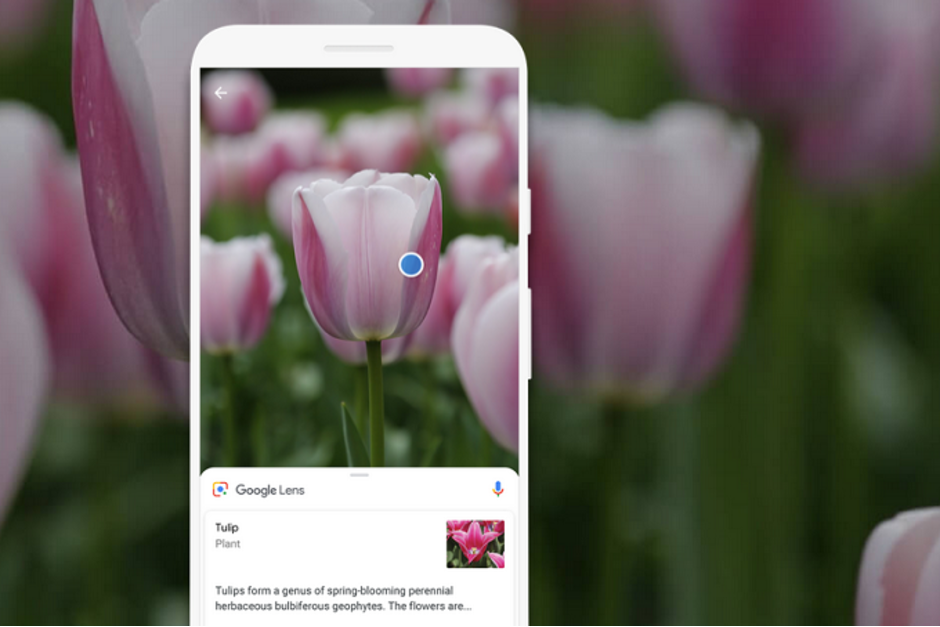 Google brings the Lens visual search feature to its iOS search app ...