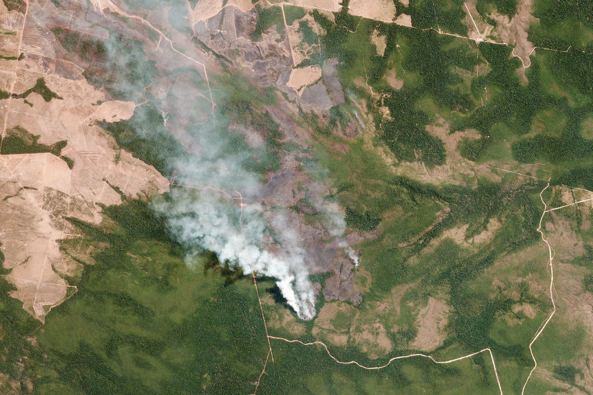 Just google Amazon fire, we dare you - PhoneArena