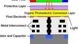 New organic image sensor for phones and cameras to offer the highest ...