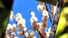 SEL demos the most bendable mobile display that can wrap around phone ...