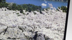 4K tablets, here we come! JDI unveils the first 10.1" 4K display, with ...