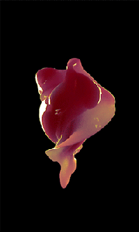 30 mesmerizing and downright awesome Android boot animations that you ...