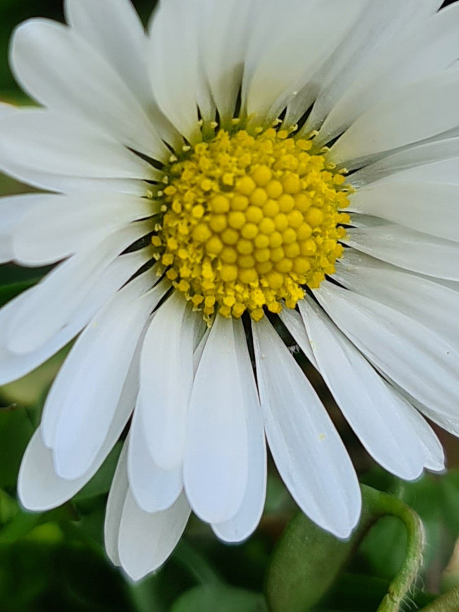 Samsung Galaxy S20 Ultra: 108MP camera samples comparison vs 12MP ...